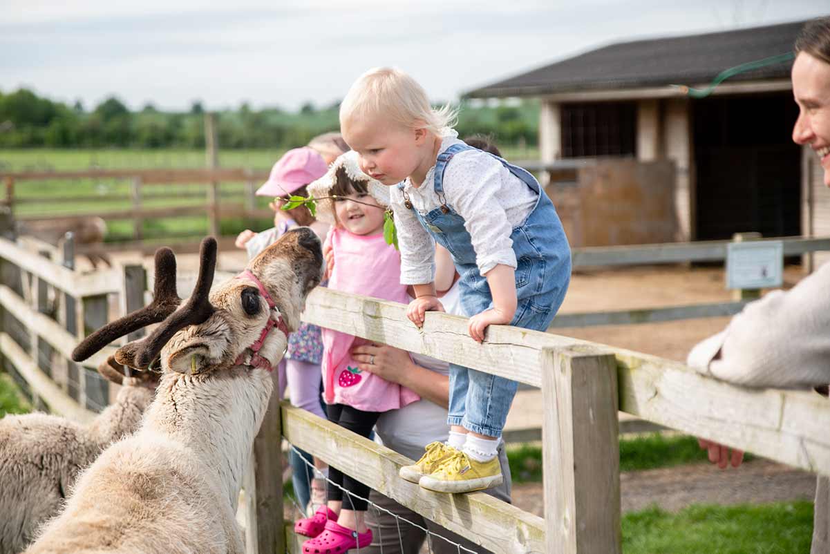 Hogshaw Farm & Wildlife Park | A Fun And Educational Open Farm Space