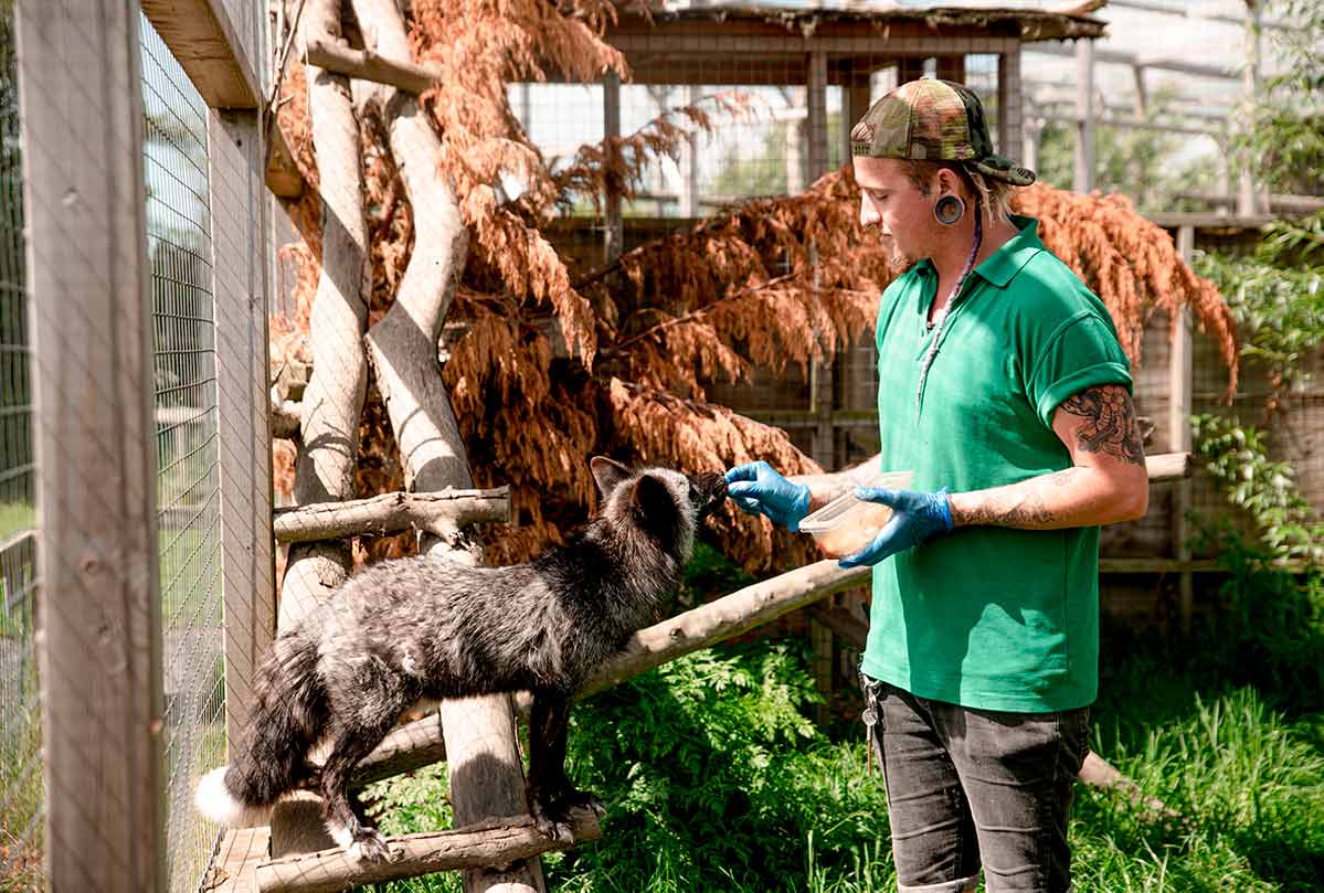 Hogshaw Farm & Wildlife Park | A Fun And Educational Open Farm Space