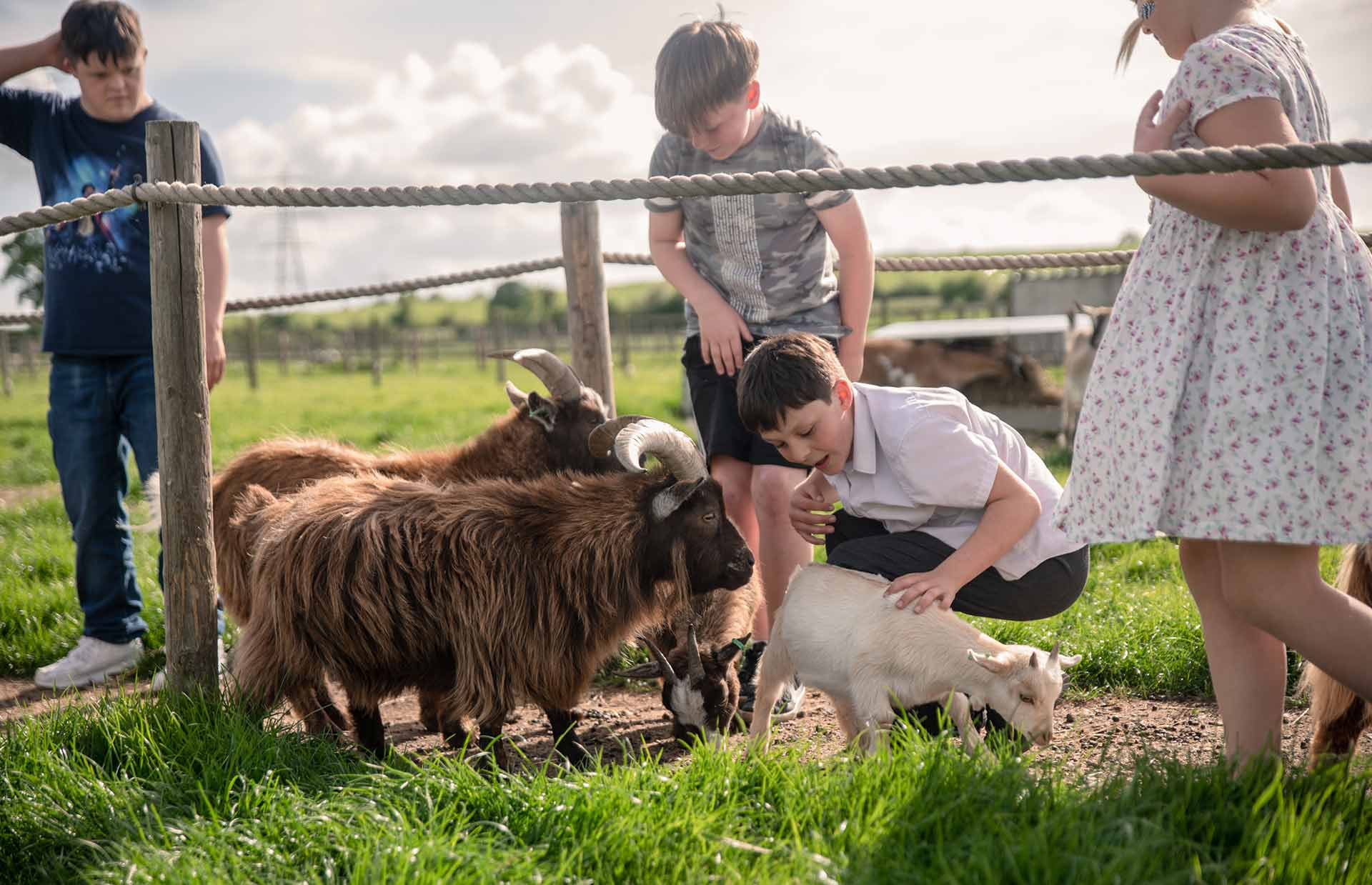 Explore | Hogshaw Farm & Wildlife Park