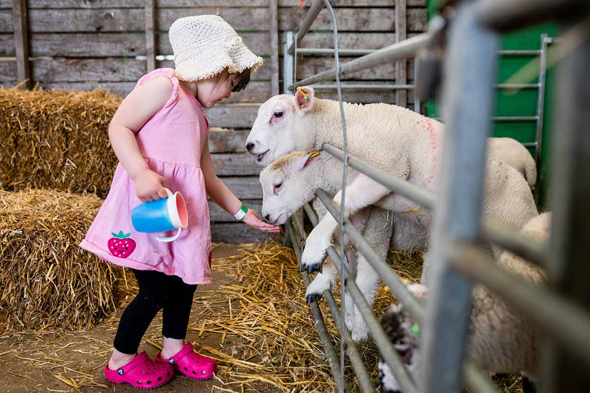 Hogshaw Farm & Wildlife Park | A Fun-Filled Farm Park Day Out